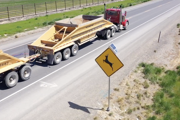 UDOT installs all-new radar signs to warn drivers of nearby wildlife ...