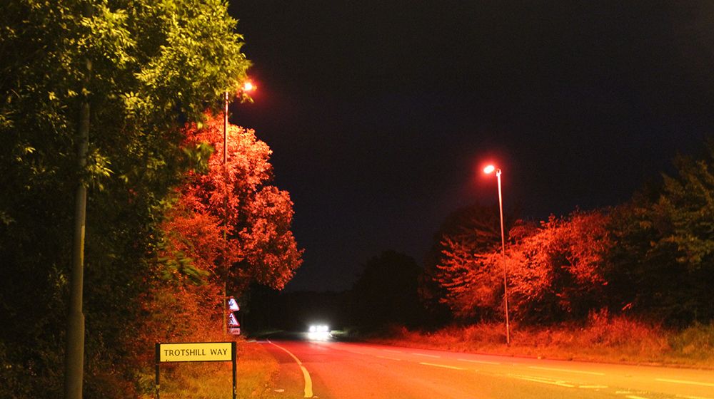 UK’s first ‘bat-friendly’ highway crossing deployed in Worcestershire ...