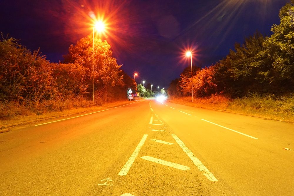 UK’s first ‘bat-friendly’ highway crossing deployed in Worcestershire ...